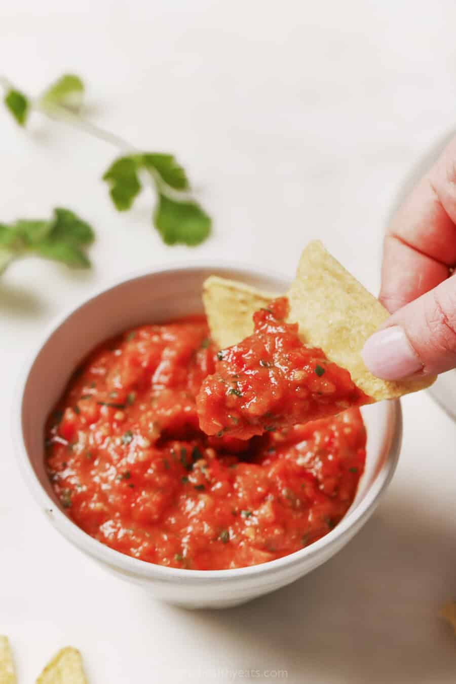Roasted Tomato Salsa Recipe | Happy Healthy Eating - storytellingco