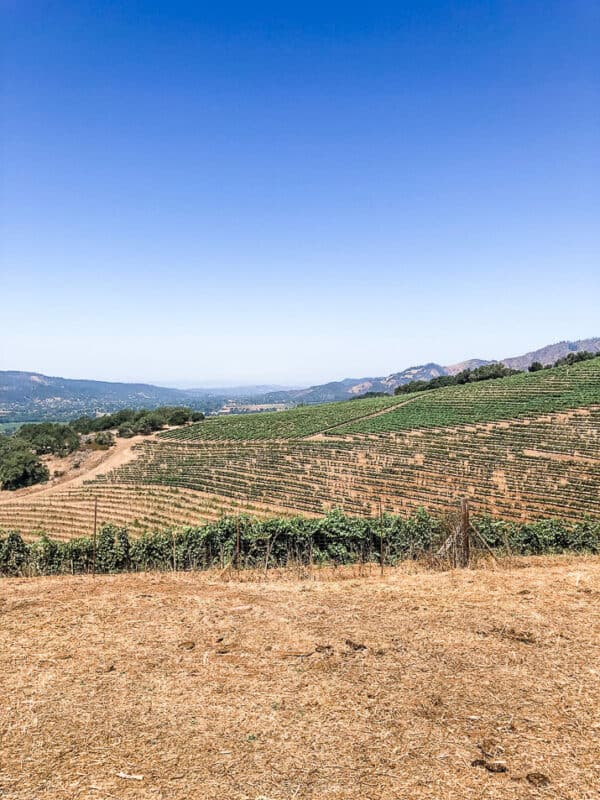 The Top 5 Wineries to Visit in California's Wine Country | Best Wineries The Top 5 Wineries to Visit in California's Wine Country | Best Wineries
