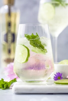 The Best Hugo Cocktail Recipe l Joyful Healthy Eats